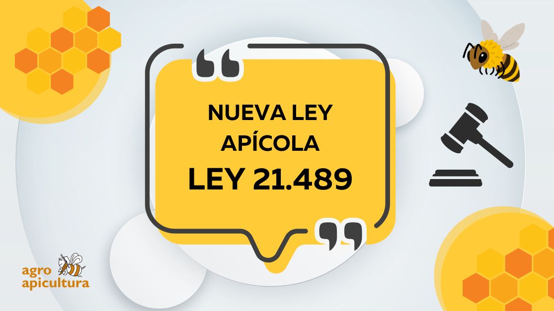 🐝 Nueva Ley Apícola en Chile: Lo que todo apicultor debe saber ...